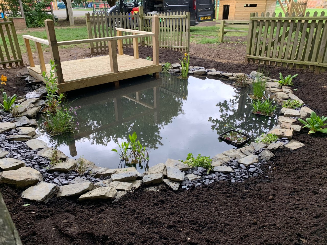 Pond Building, Pond Construction